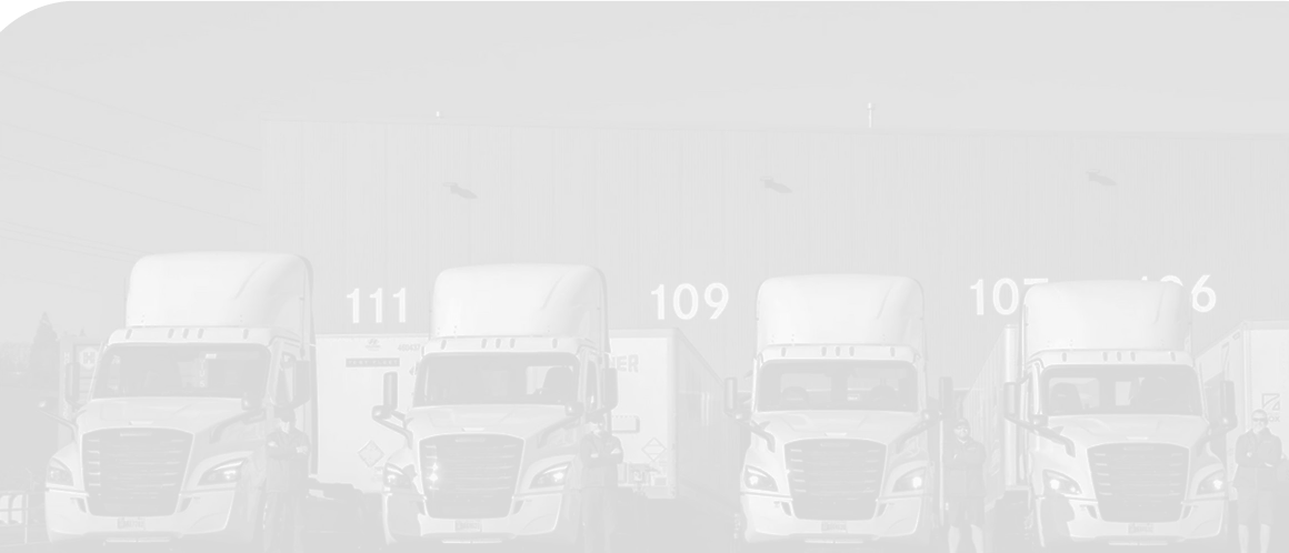 CargoPro | Best AI-Powered Transport Management System (TMS) for ...